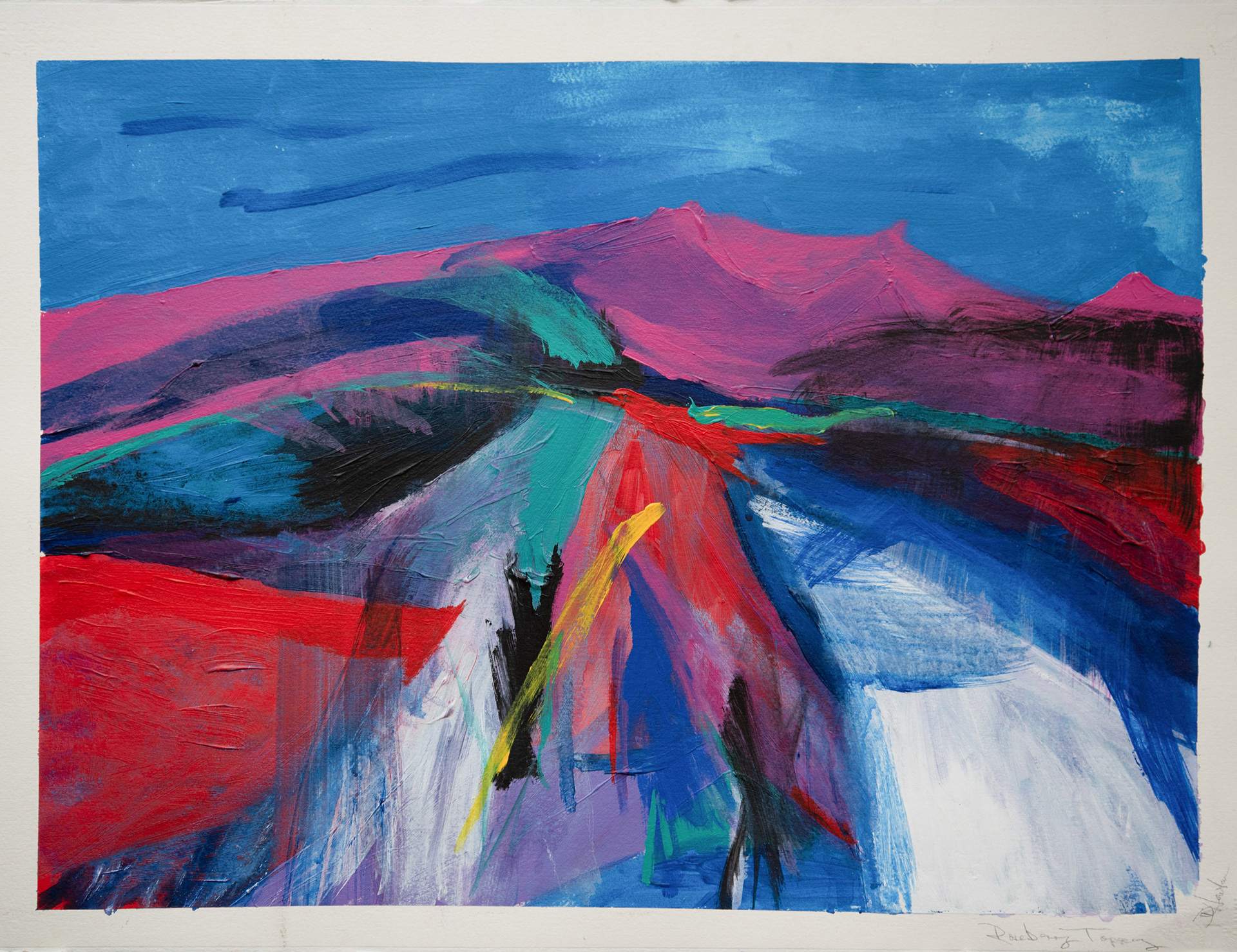 Debbie Snow - Abstracted Landscape
