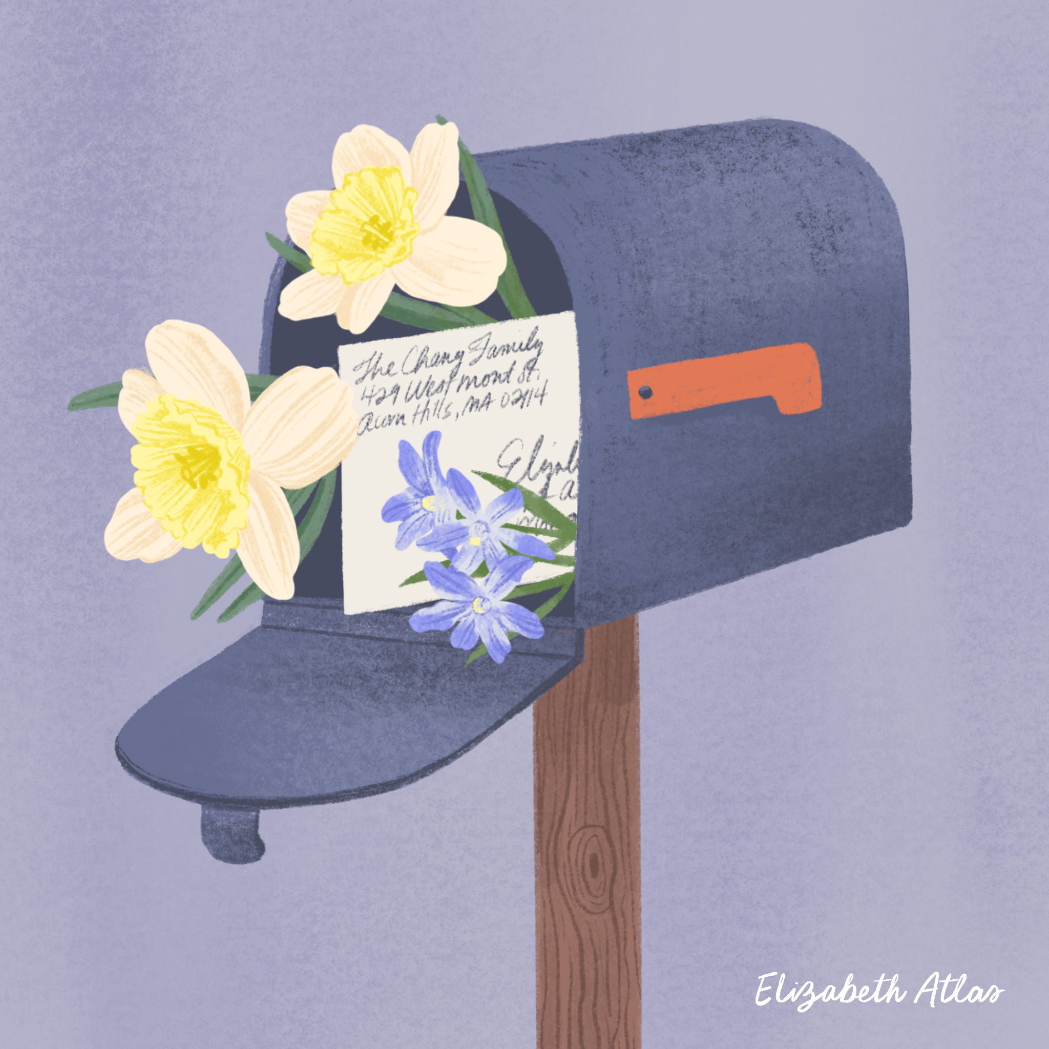Elizabeth Atlas | Illustrator, Artist, Designer - Mail