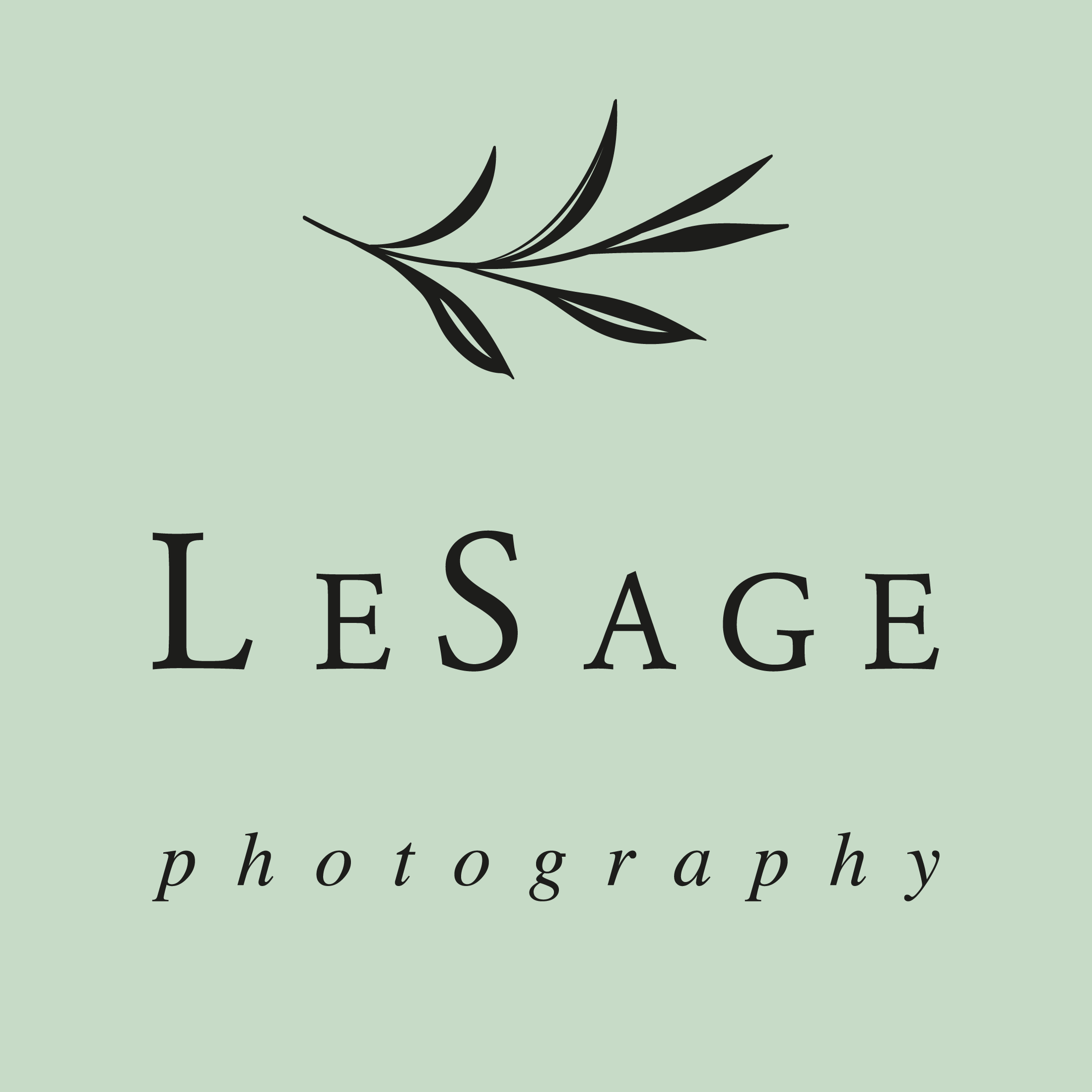 LeSage Photography - Nightscapes