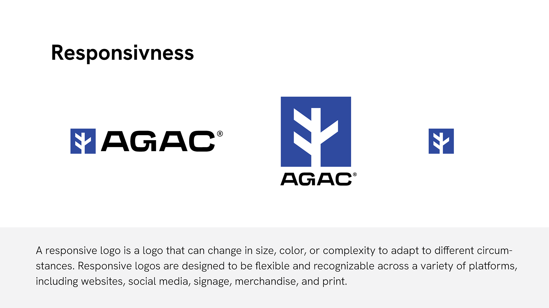 Zayner - AbduGaffor Rakhimov - AGAC Logo & Branding