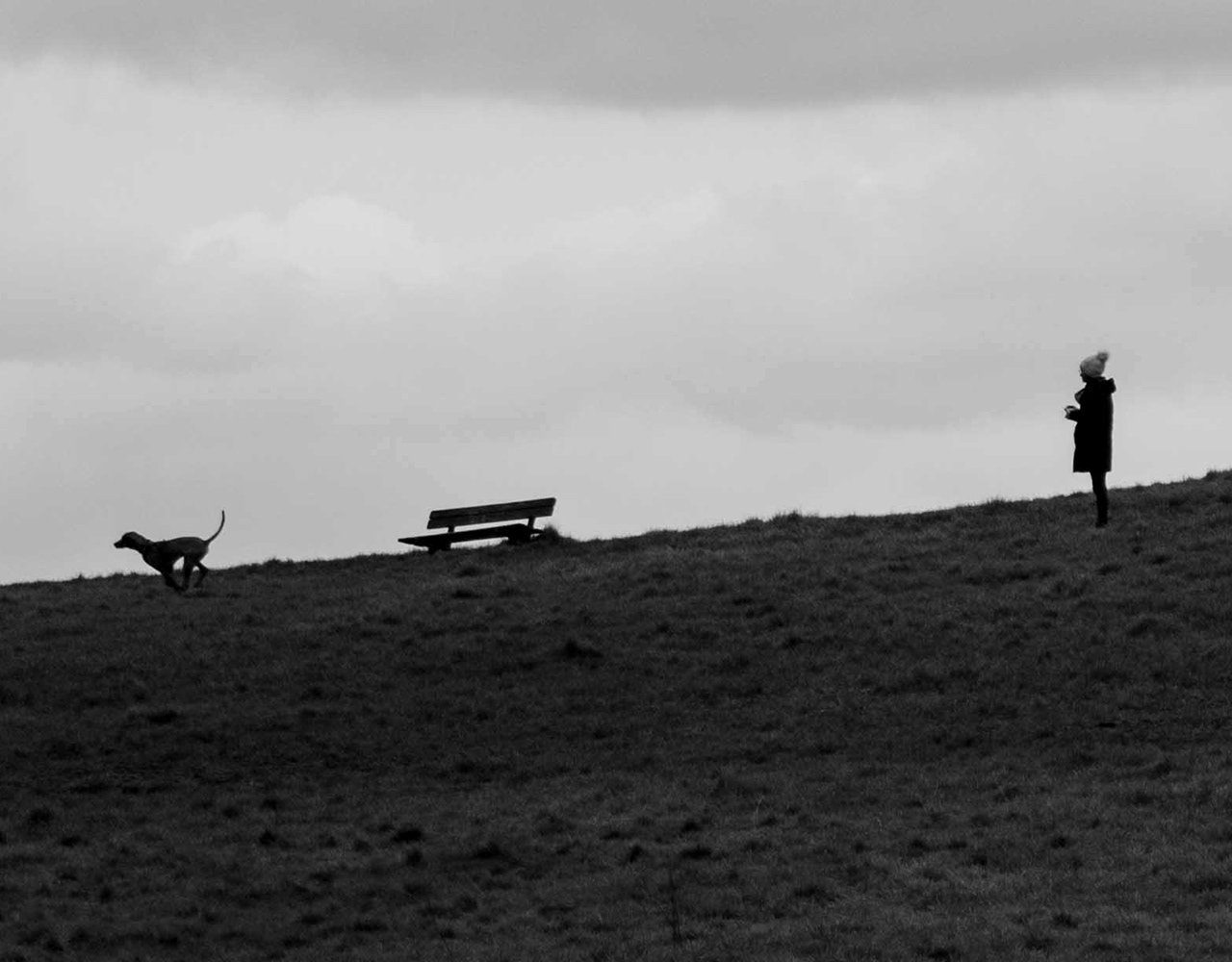 Pictora I Art with conviction