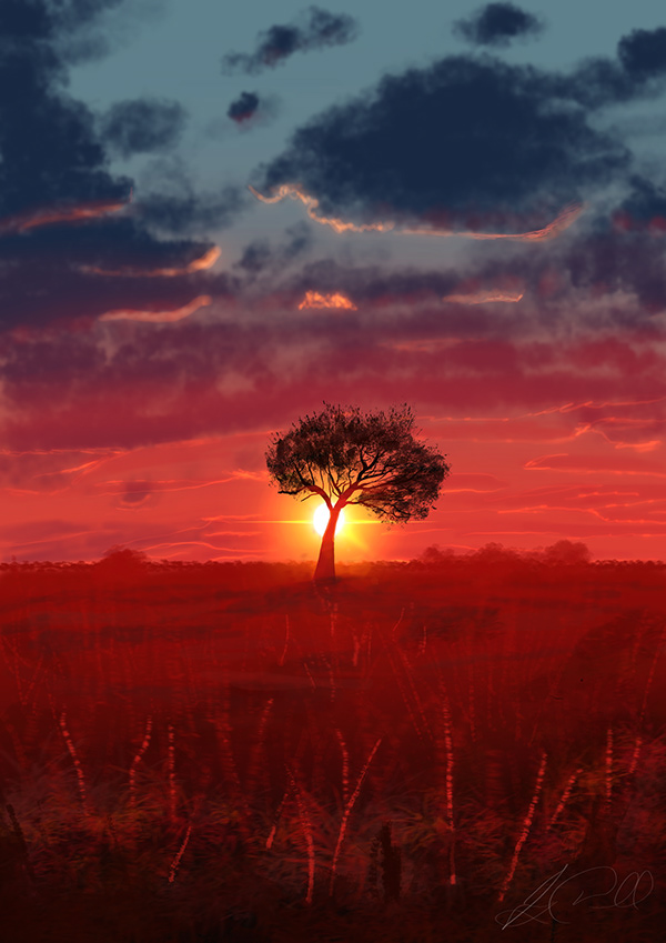 JDonnell Photography - Procreate Gallery