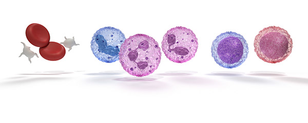 kerry nicholson - Contact