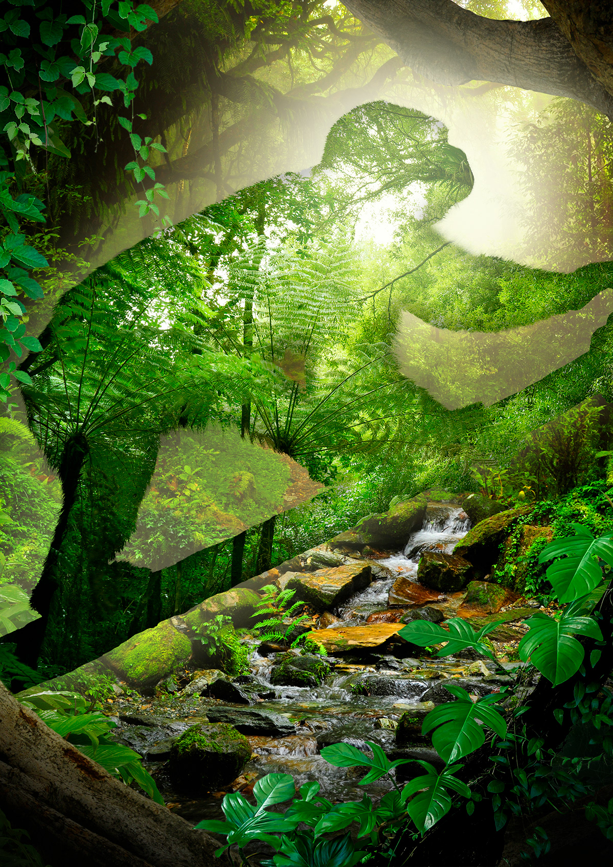 Andrés Mencía - Non existing animals