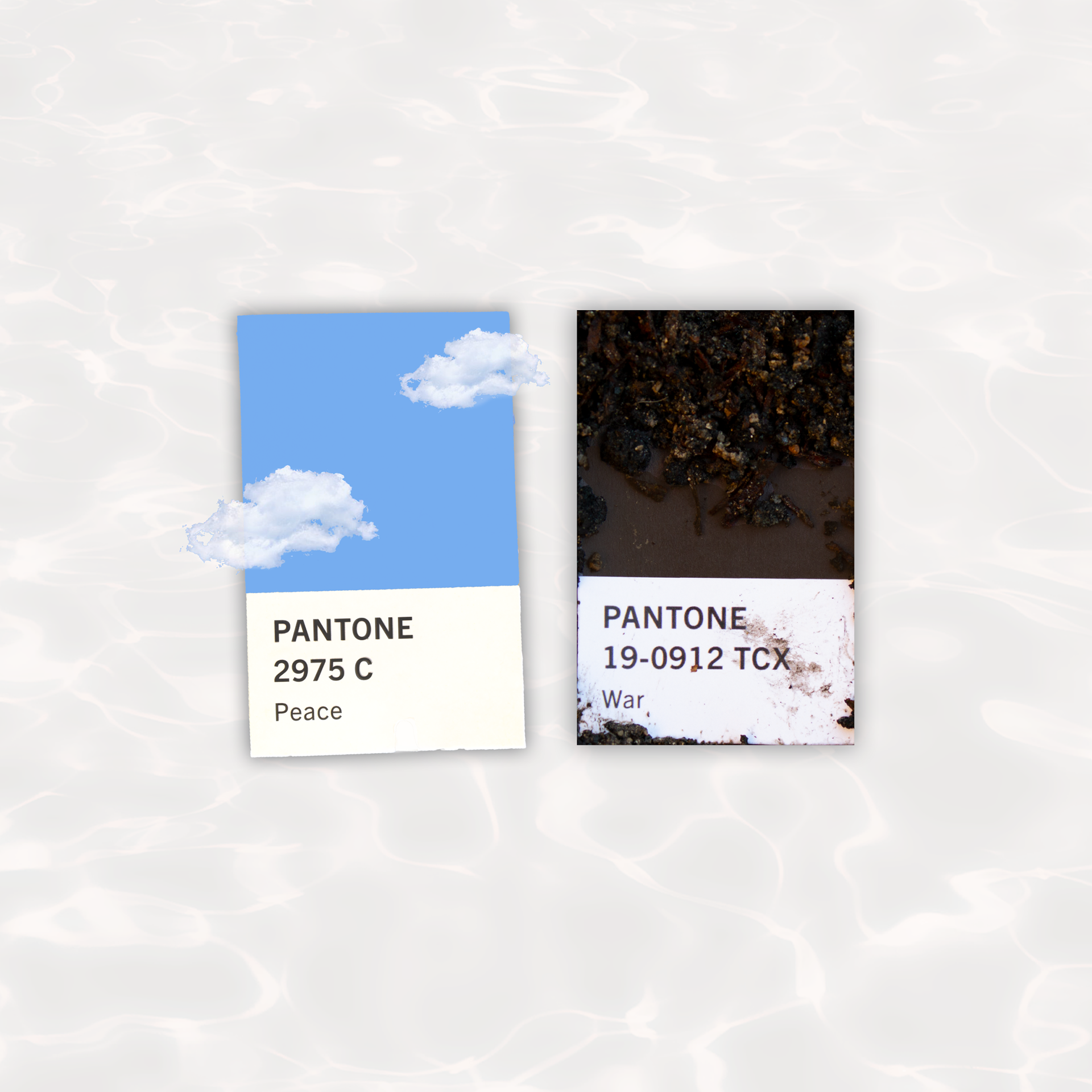 Linh Phan - Conceptual Pantone Pairs