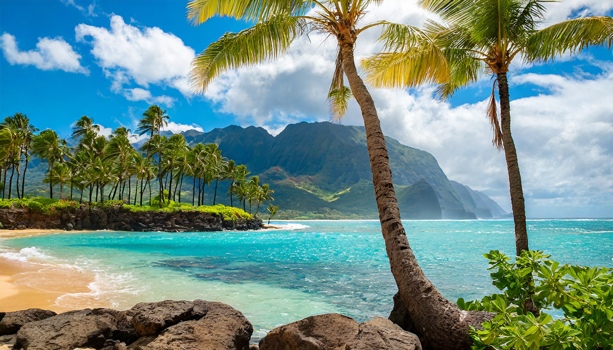 Christie Allen - Fine Art