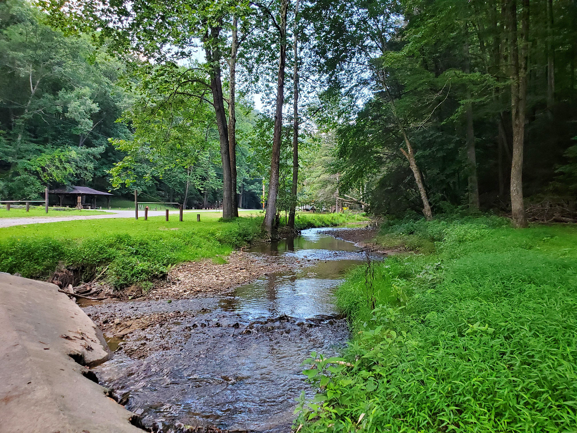 Laurel Lake Park