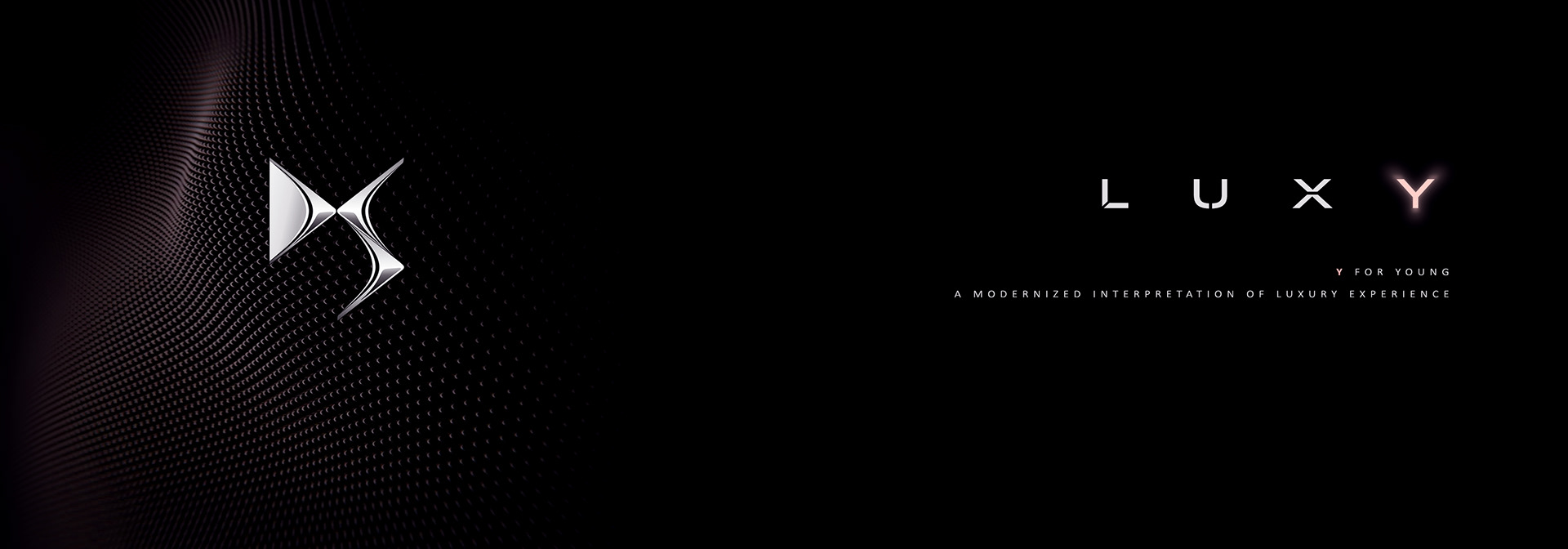 Yongquan Wang - DS VISION LUXY