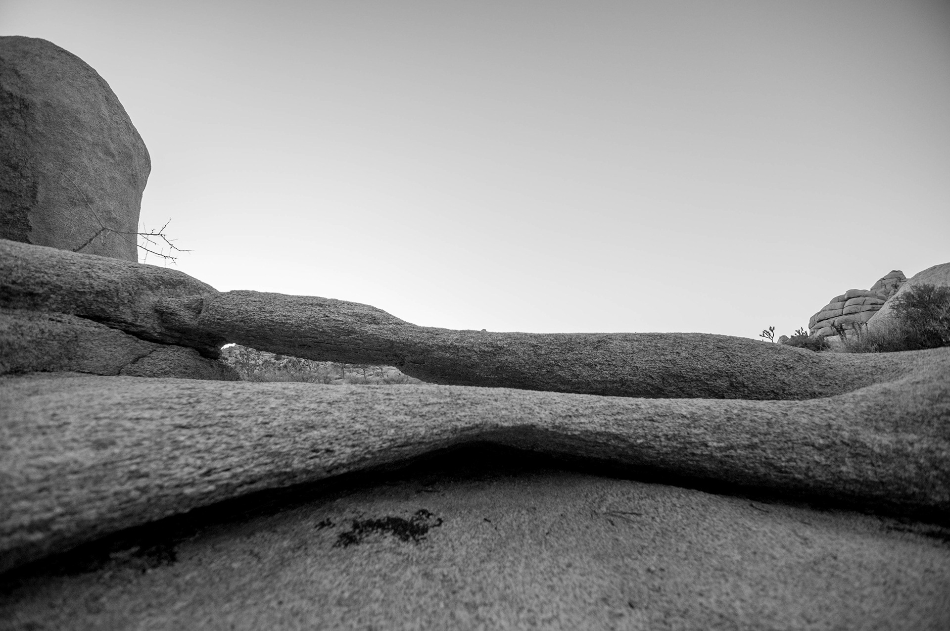 Bridget Macmillam - Photography: Joshua Tree
