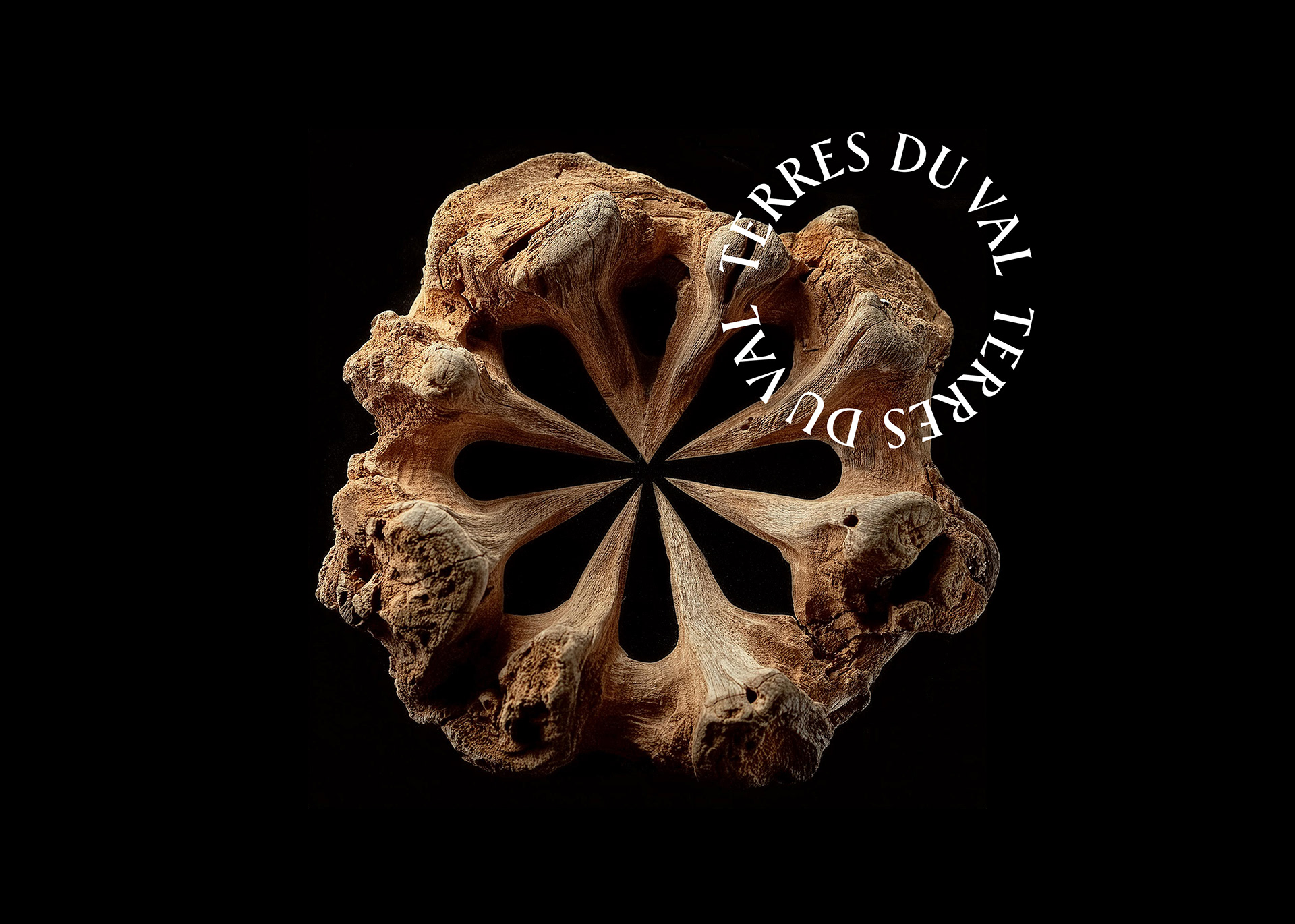 Vébé is a Belgian award-winning curious multidisciplinary designer and ...