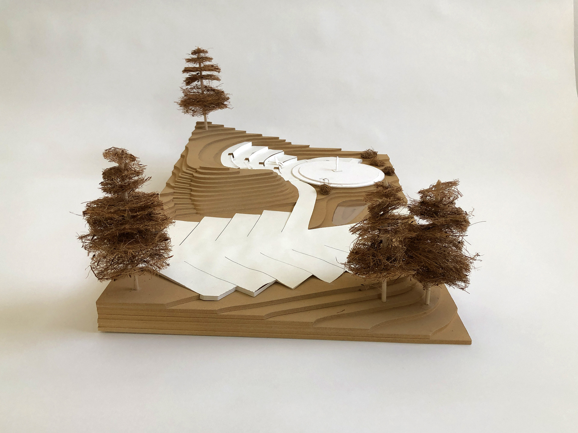 christian rose - Amphitheater Site Model