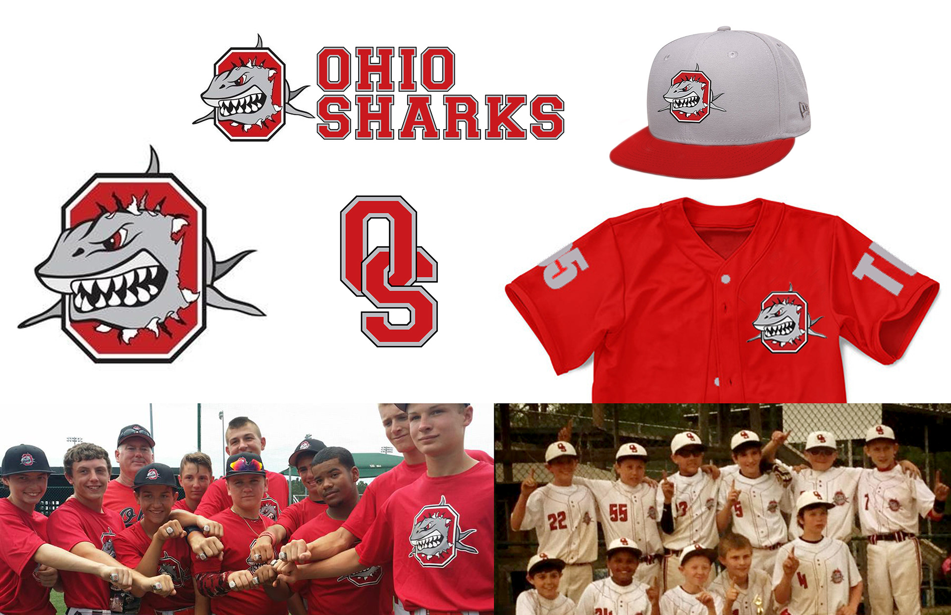 Brand Imagination | James Scott Blanton - Ohio Sharks Baseball : Team ...