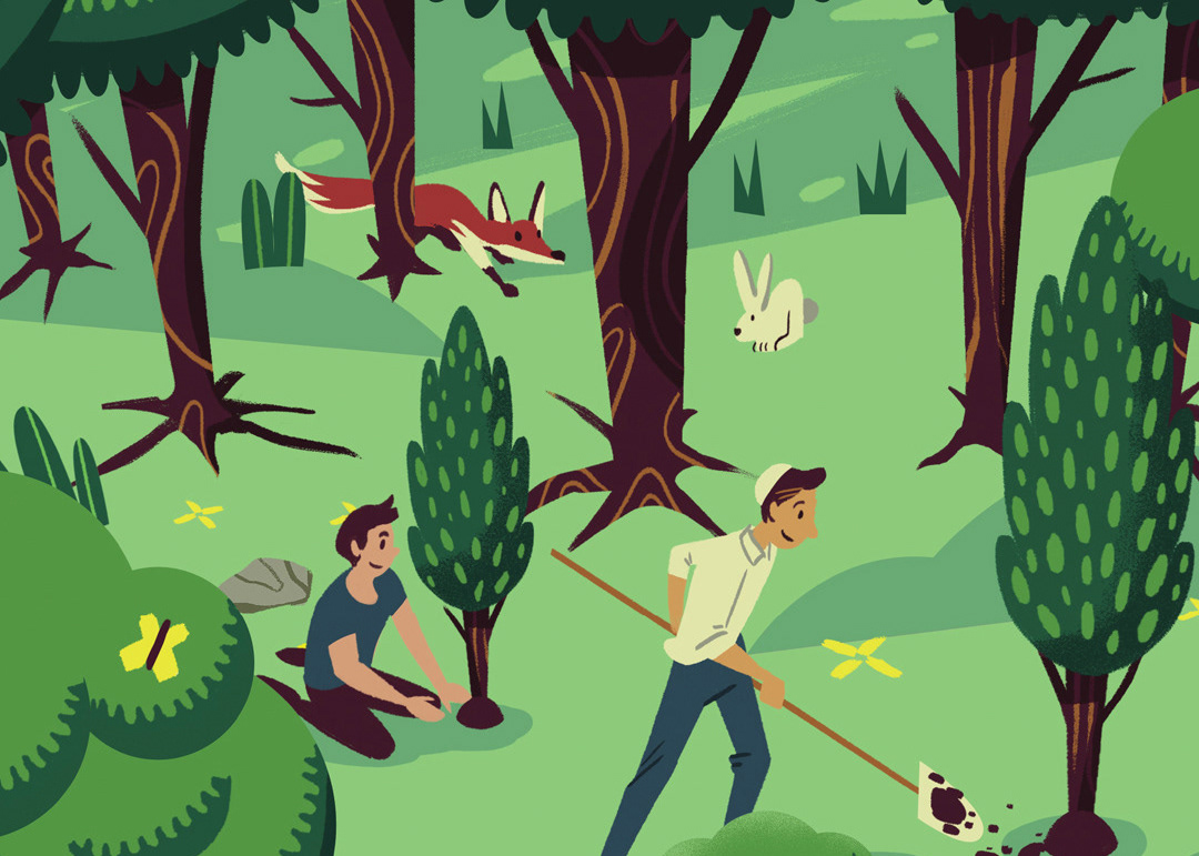 The Portfolio of Zack Anderson