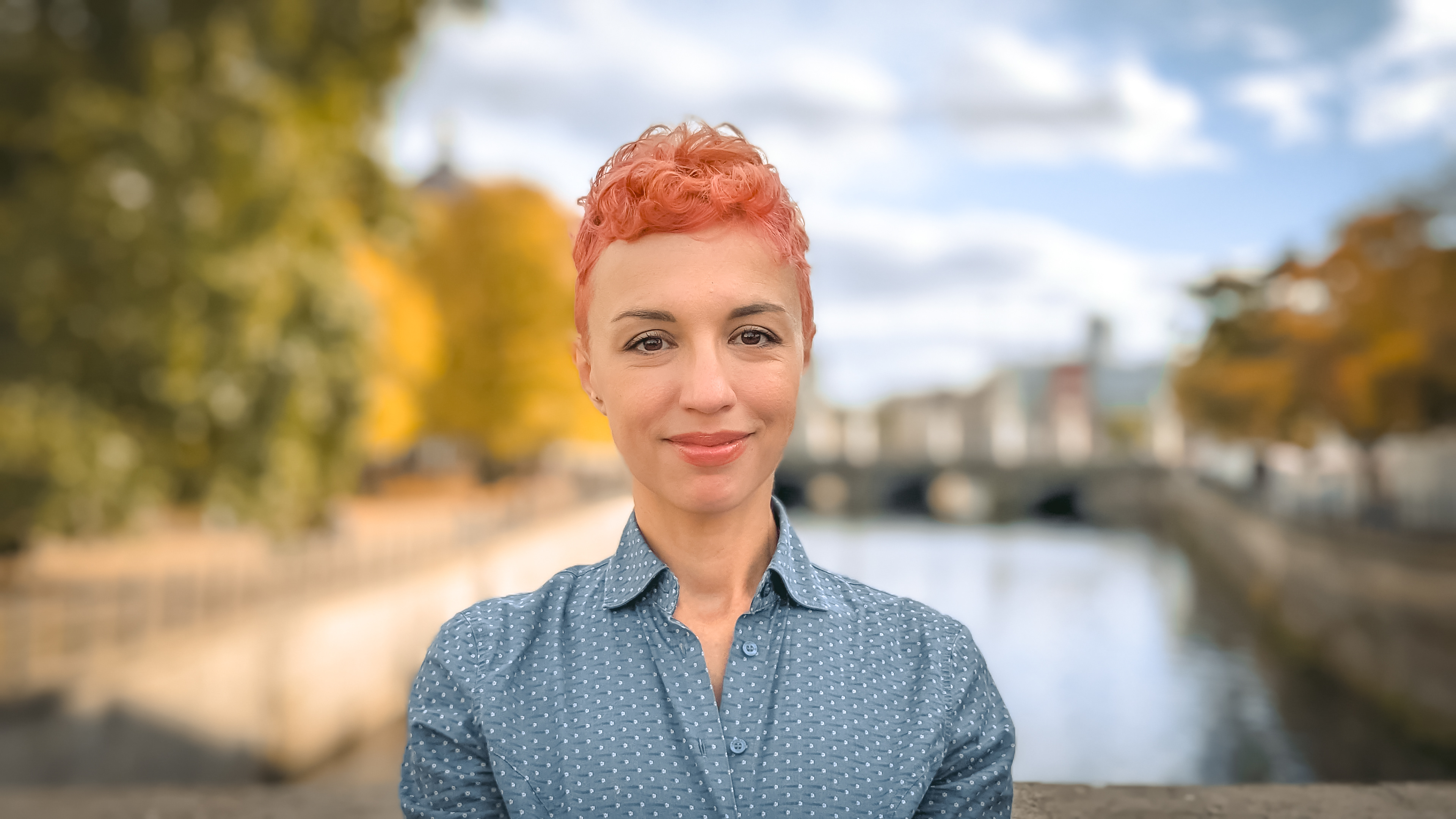 The Wild Illustrator