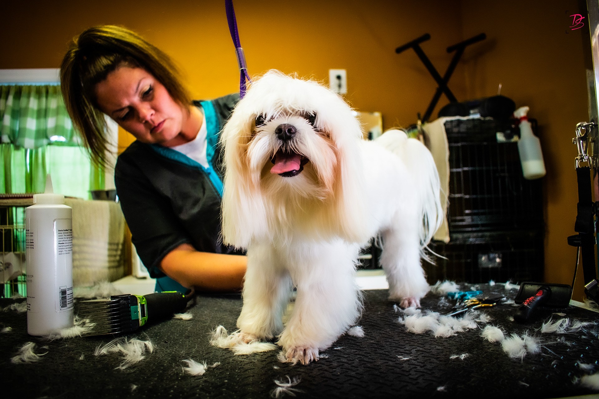 Hunt Club Kennel - Gallery
