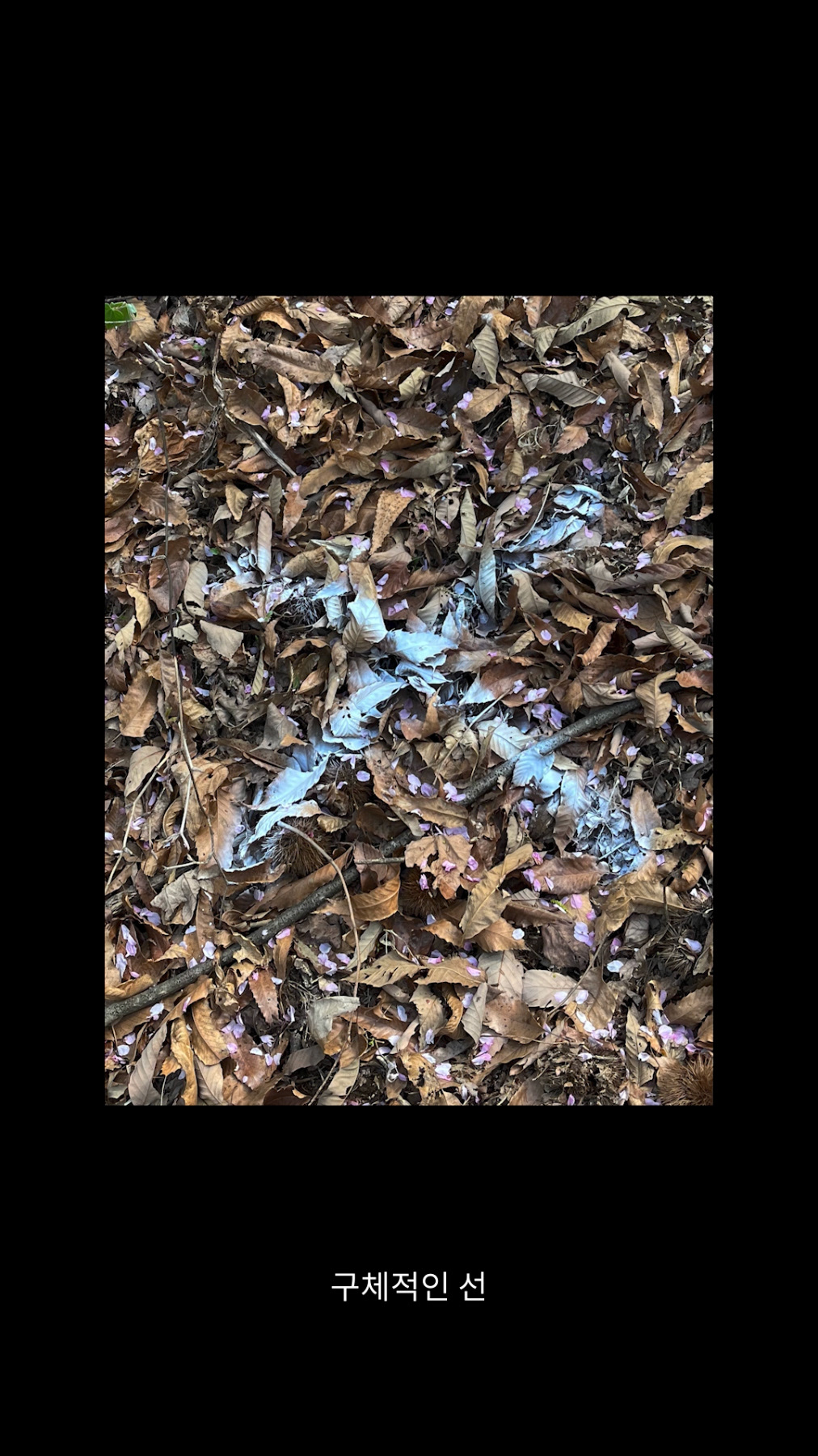 sumin cho - Green Dashed Line