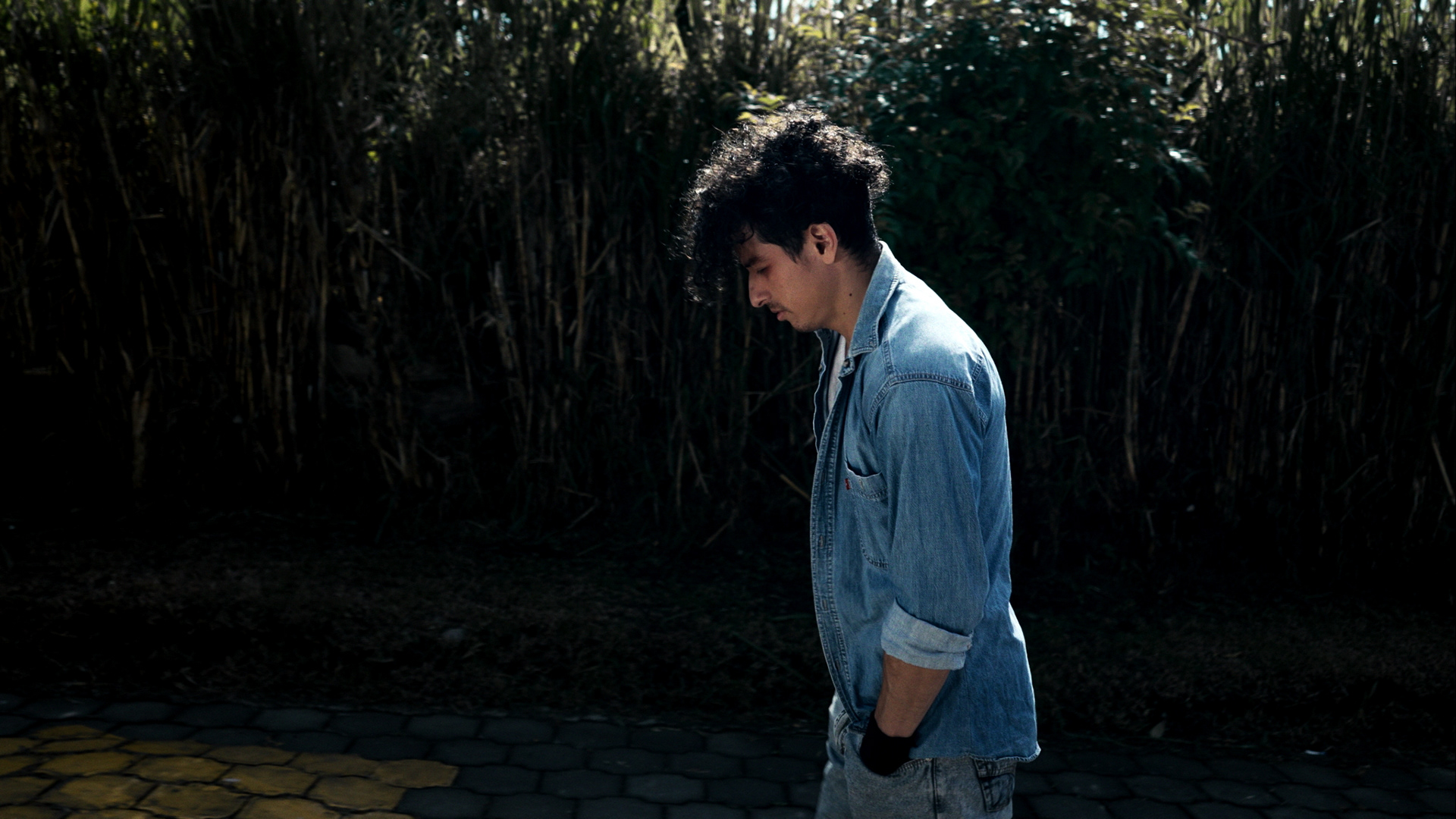 Martin Aguirre - GALLERY