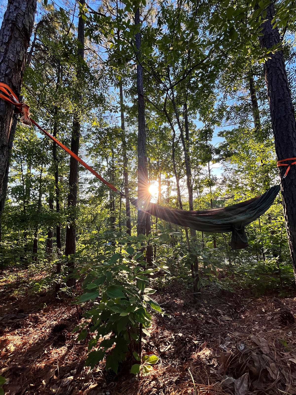 Coldwater Camp & Cabins - Explore Our Sites