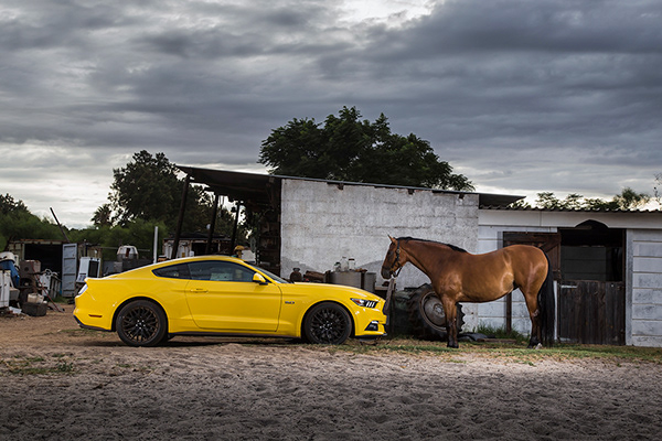 Peet Mocke - Ford Mustang V8