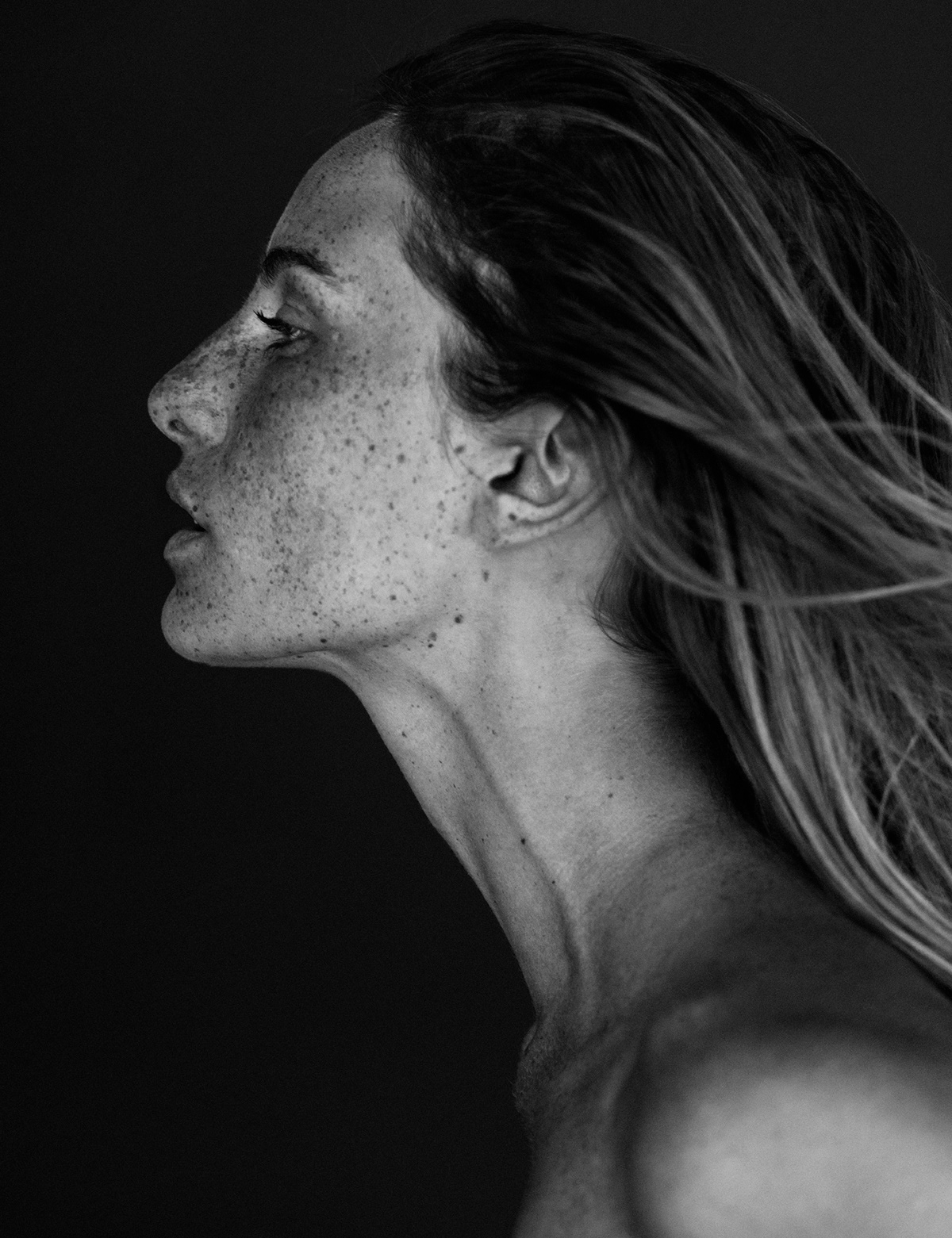 Carsten Witte - The Freckles Project