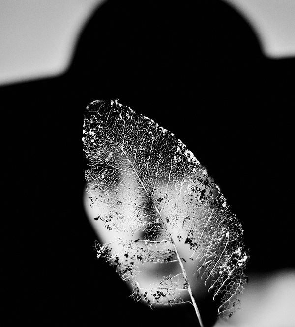 jone reed - There To Be Here