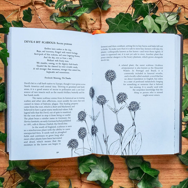 Fez Inkwright - Publications