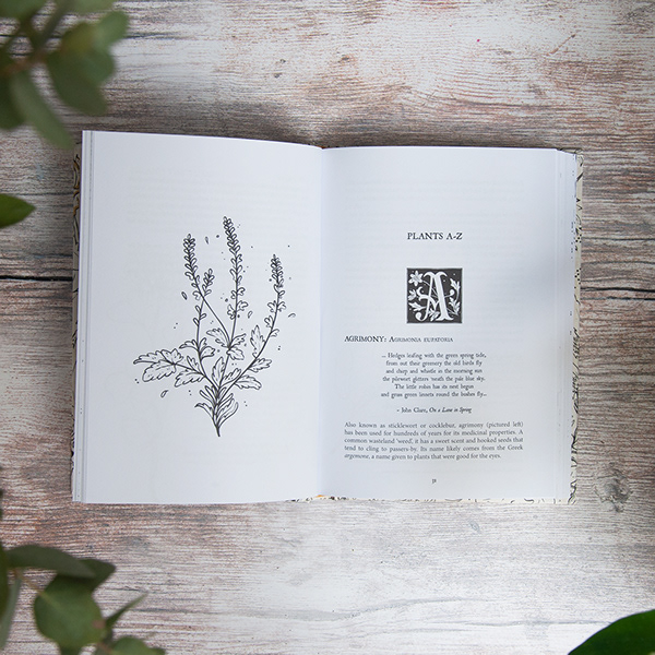 Fez Inkwright - Publications