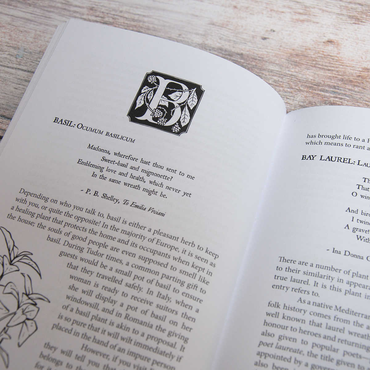 Fez Inkwright - Publications