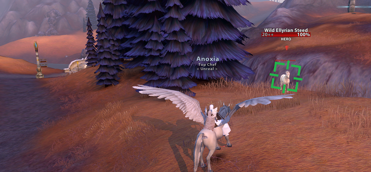 Unreal Guild - Return of Reckoning - T2 Cloak Appearances