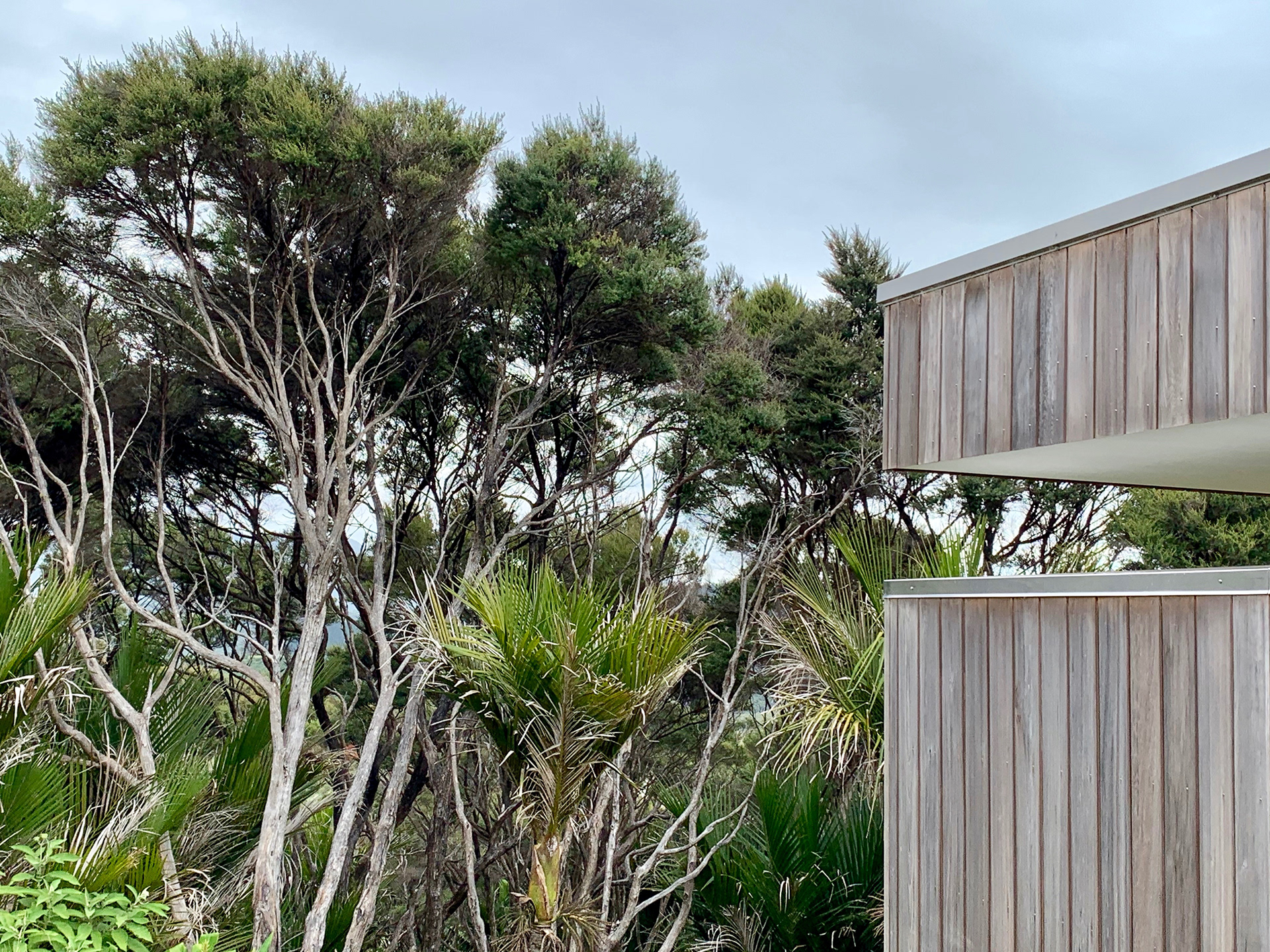 Matt Brew - opara house