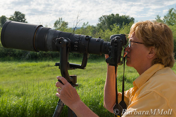 MyWildPix - About the Photographer
