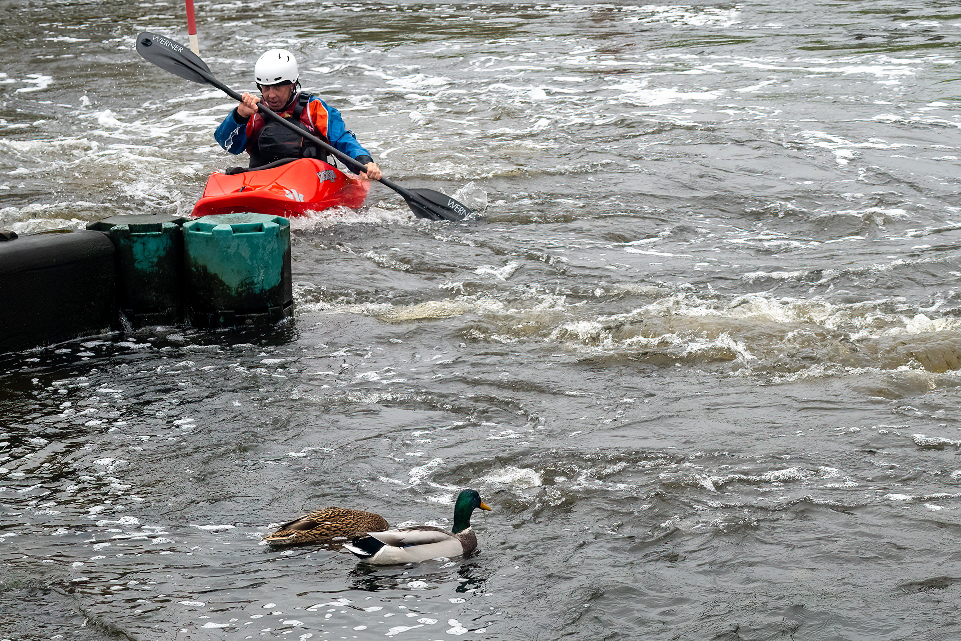 Julian Rouse Photography - 2022 National Water sports Centre, Nottingham