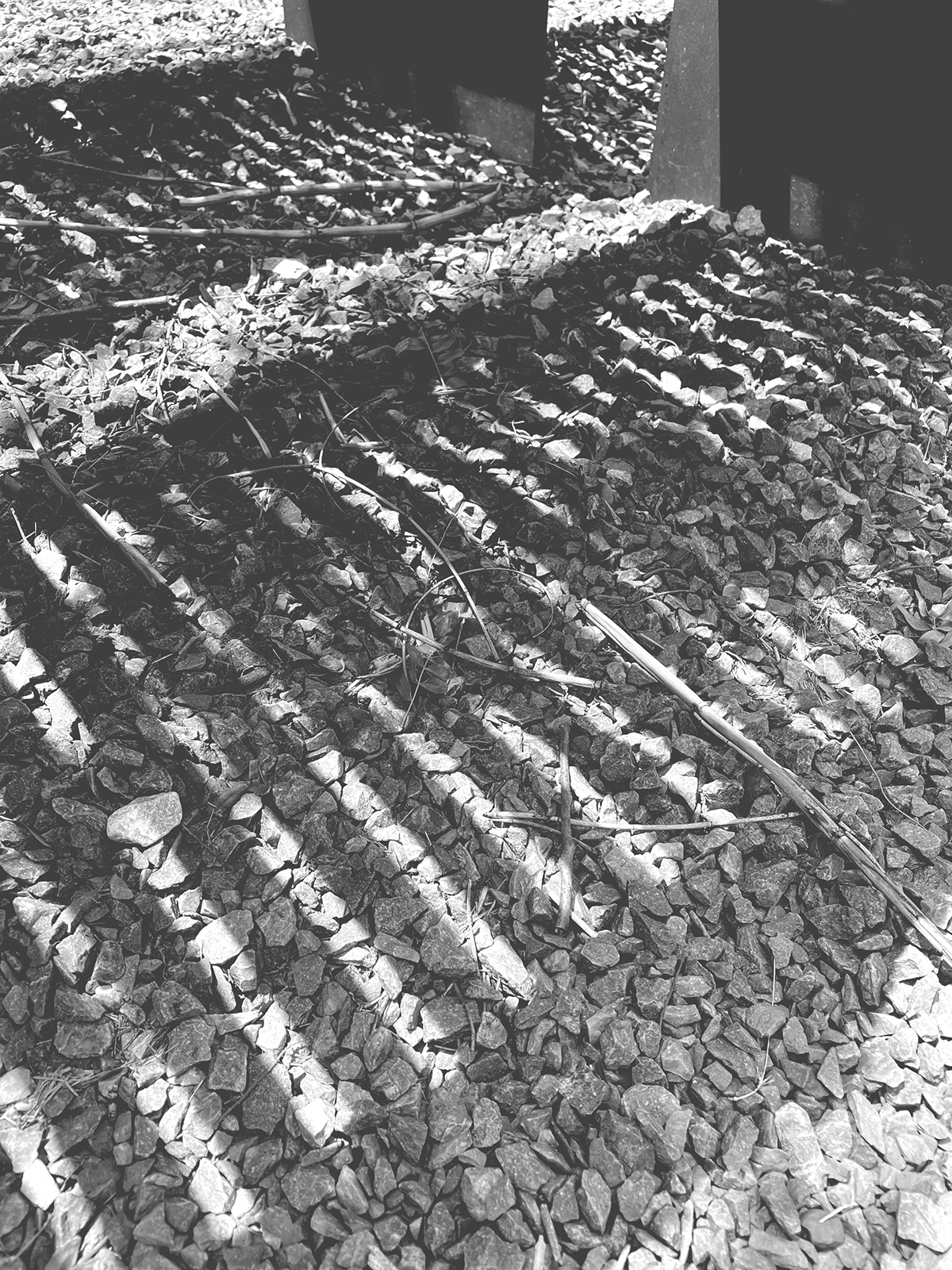 Simon Spann - ILLUSTRATIONS