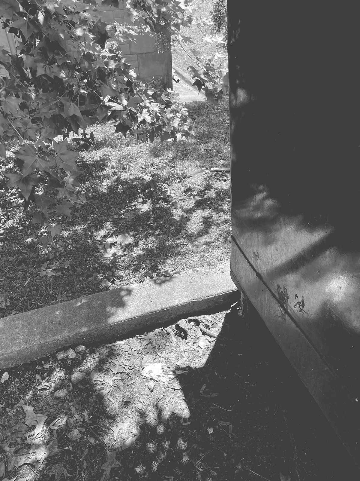 Simon Spann - ILLUSTRATIONS