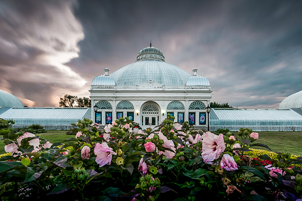Photography of Buffalo, NY