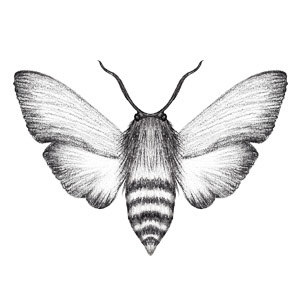 Annette Brown - Patterns