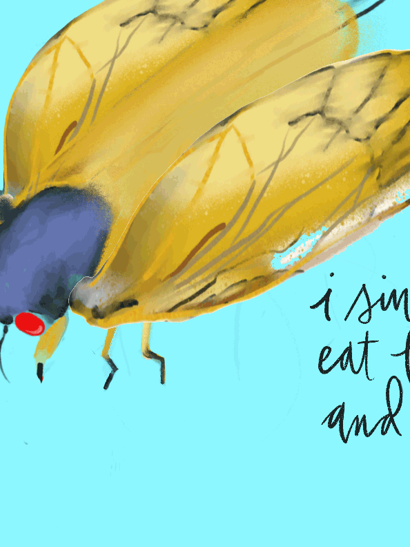 Visual Scribe at Work