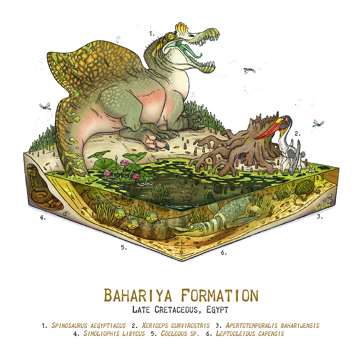 Stieven's art site - Bahariya Formation