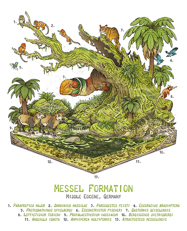 Stieven's art site - Messel Formation