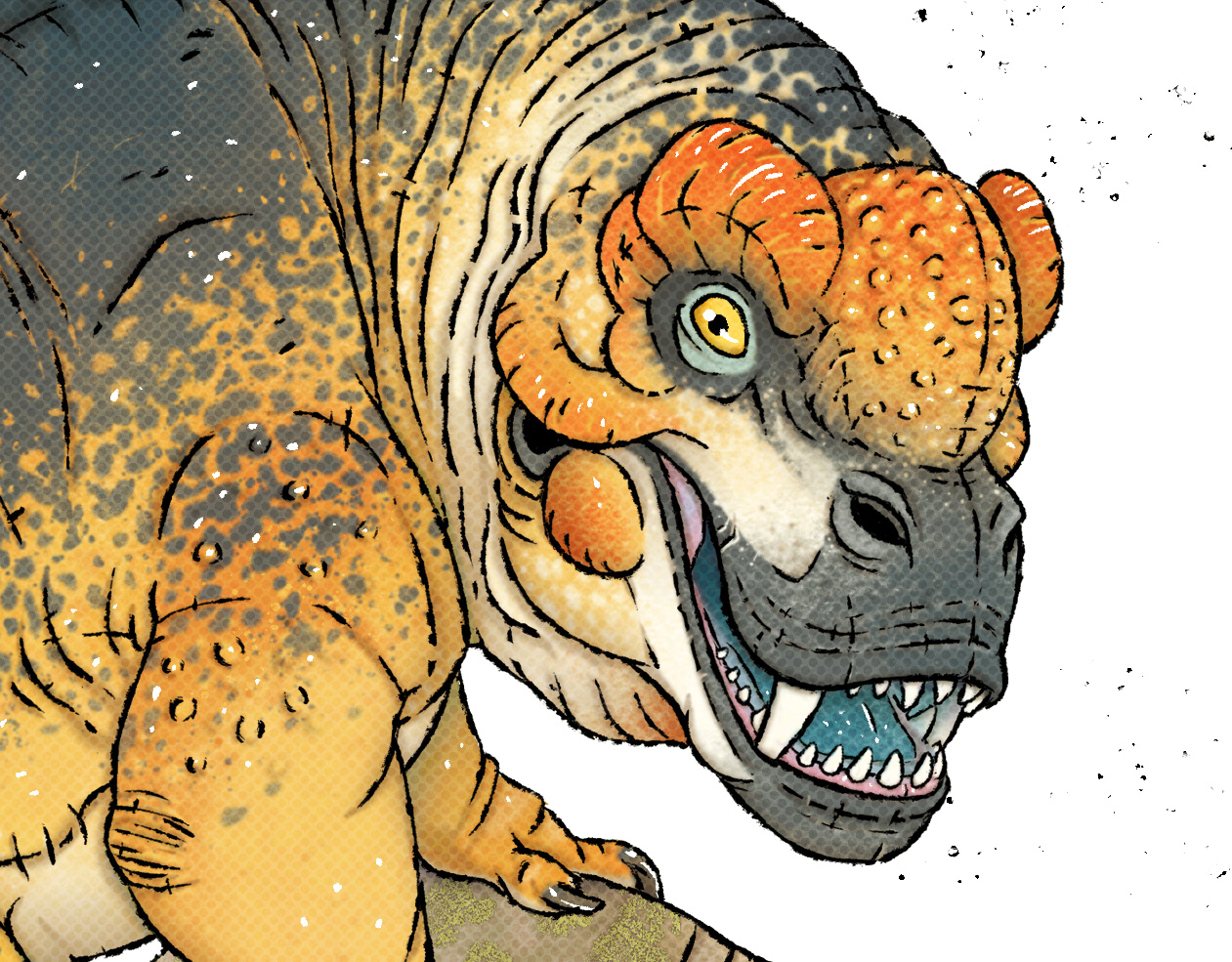 Stieven's art site - Natural history
