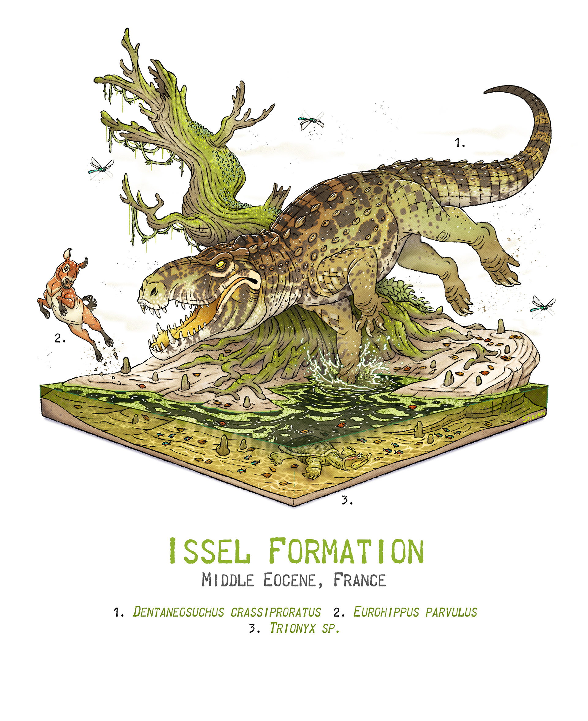 Stieven's art site - Issel Formation