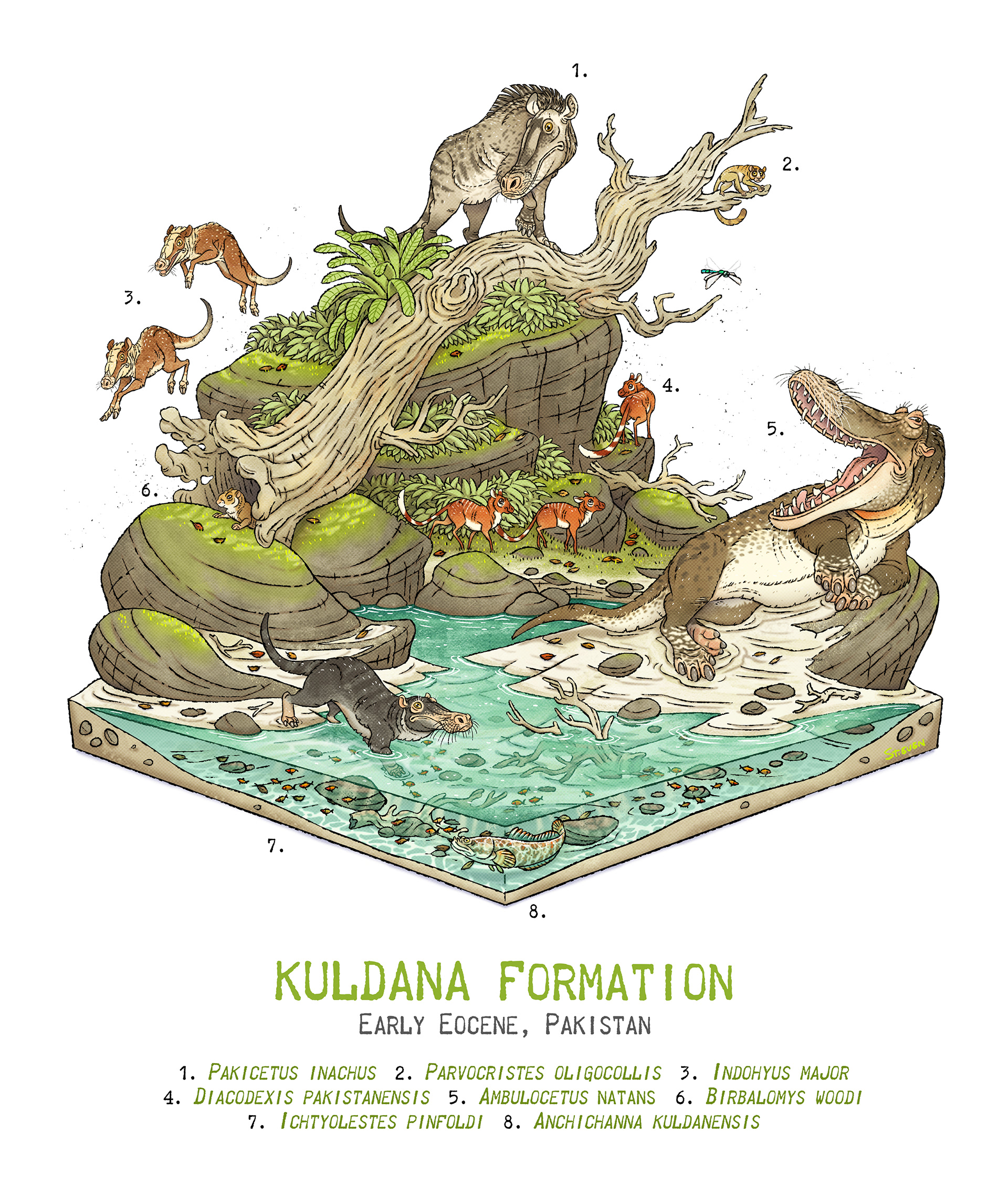 Stieven's art site - Kuldana Formation