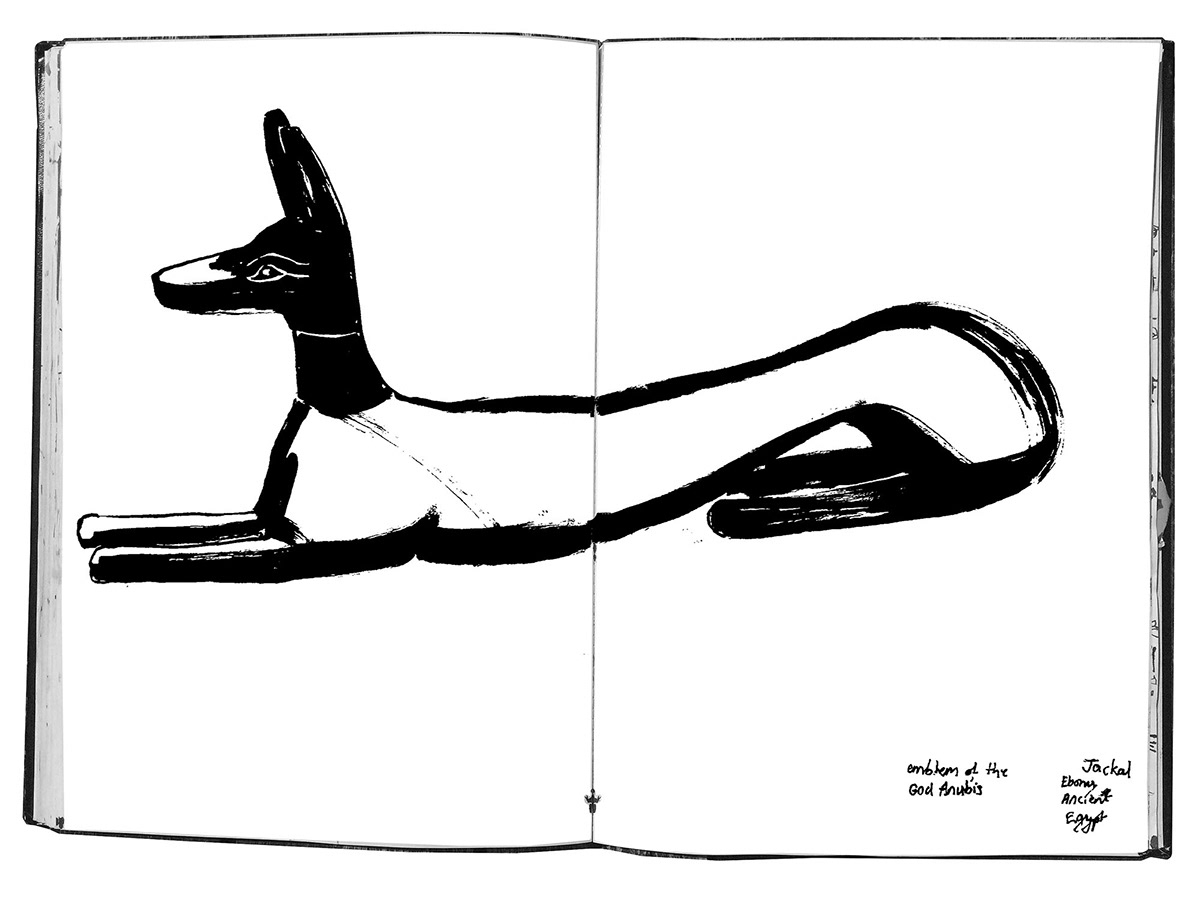 Tim Vyner | Illustrator, Artist, Professor - Pitt Rivers