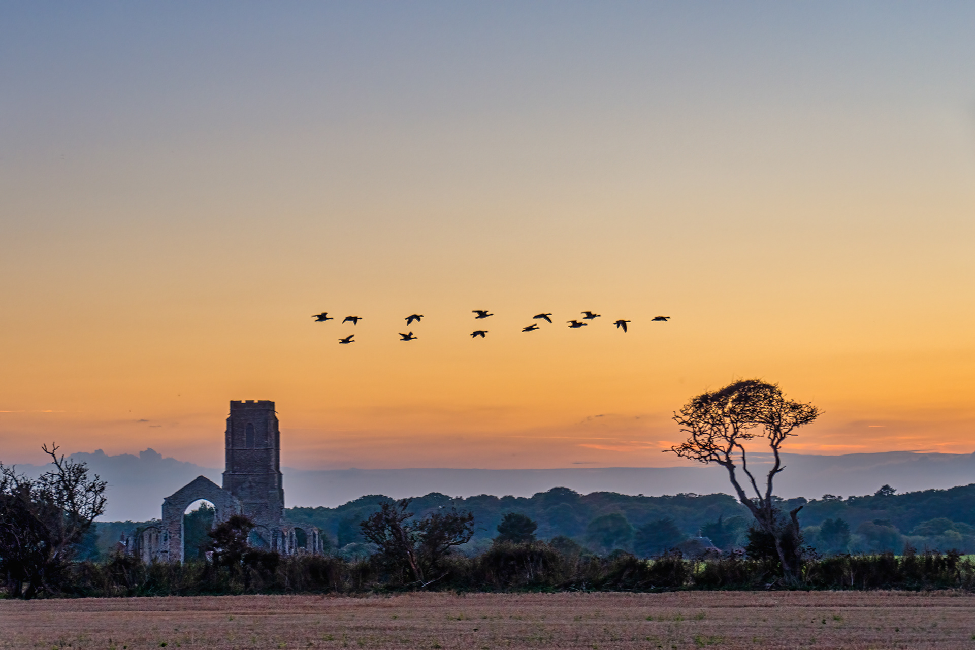 Jason Durrant Photographer - Nature
