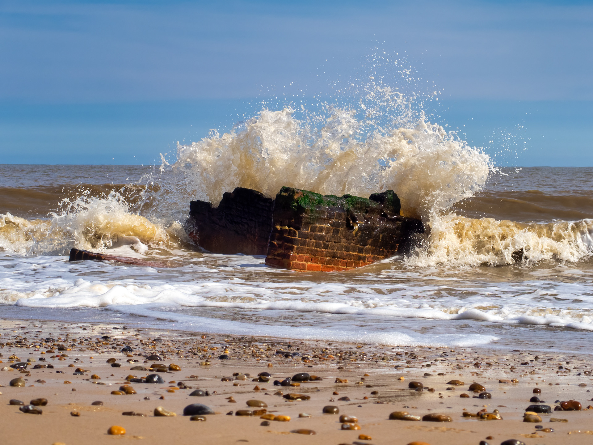 Jason Durrant Photographer - Nature