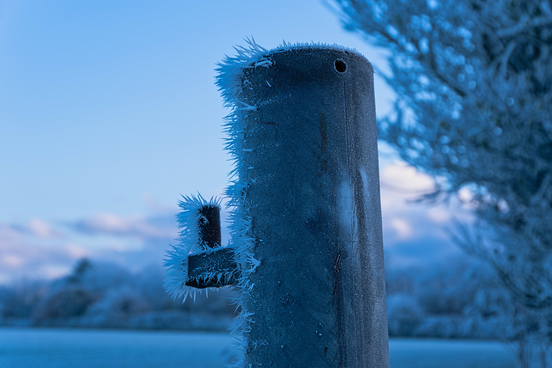 Jason Durrant Photographer - Nature