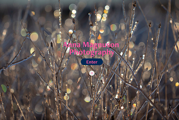 John Magnuson - Website Design