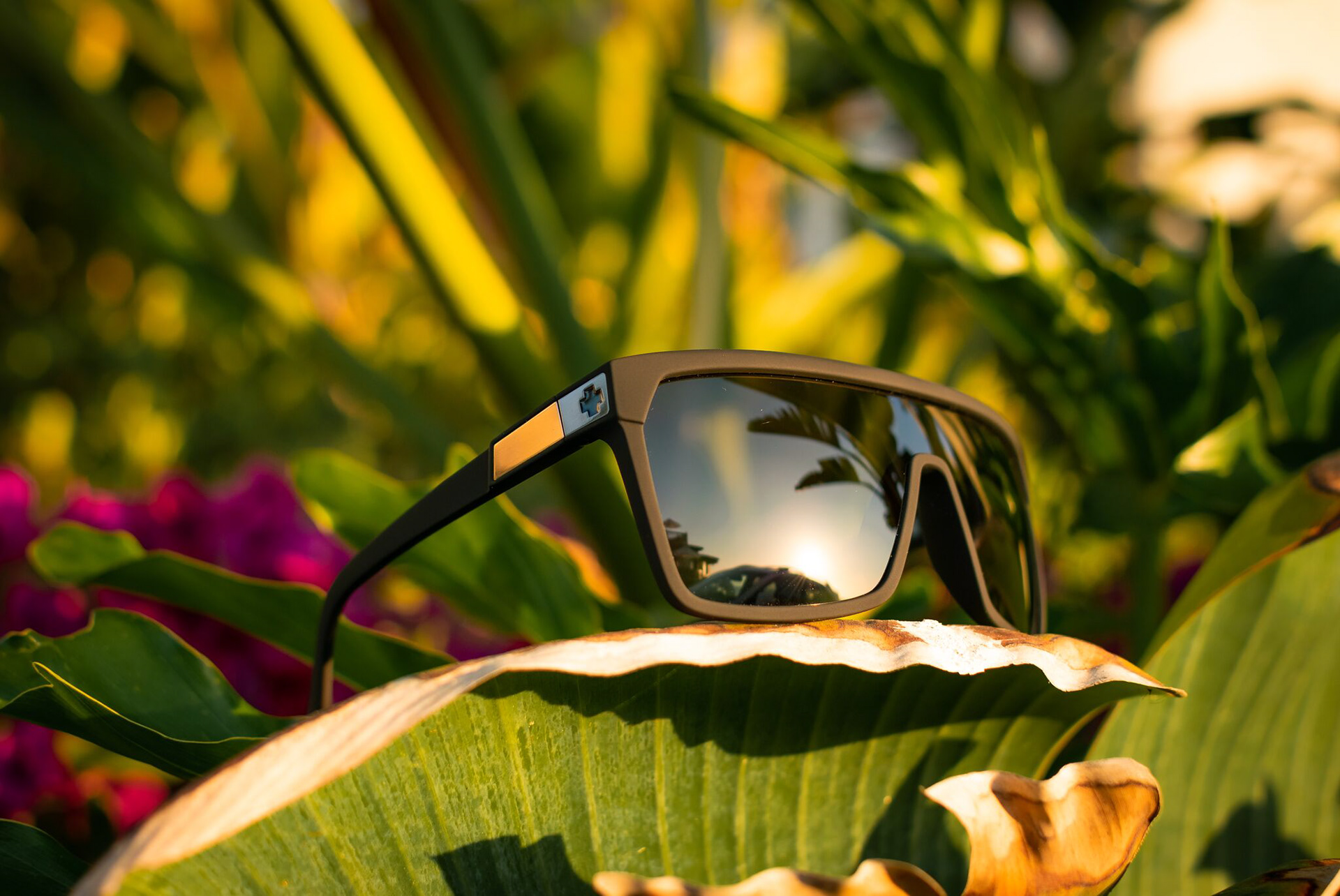 Matin Nazari - Product Photography