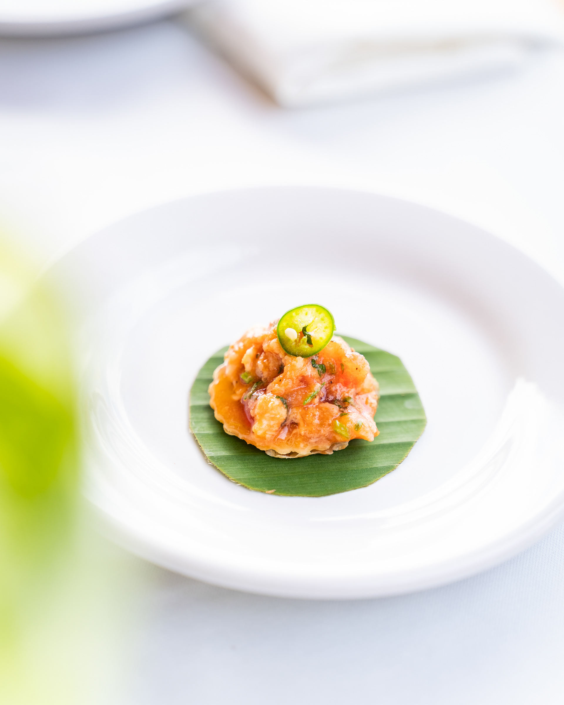 Matin Nazari - Food Photography