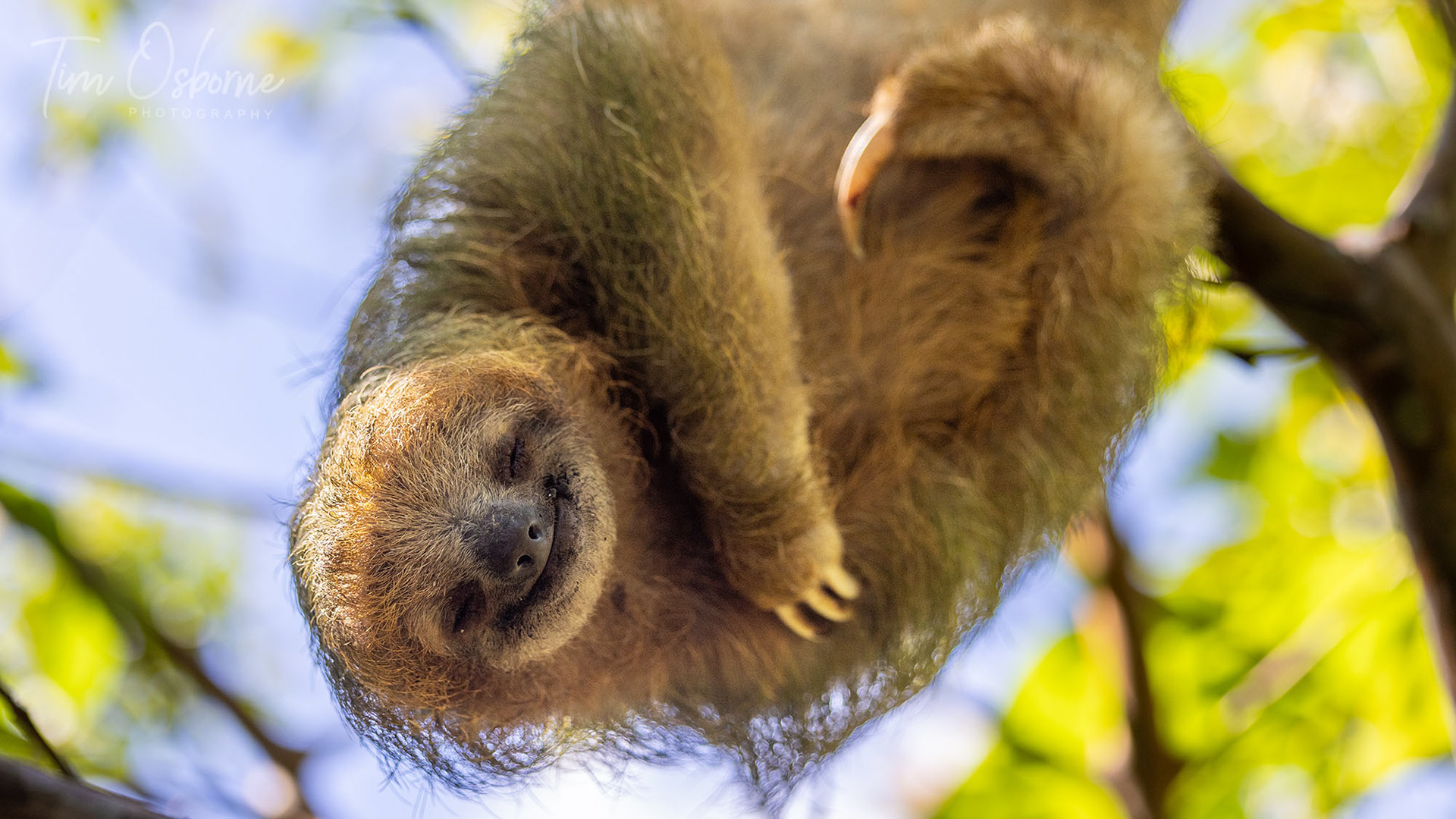 Tim Osborne Photography